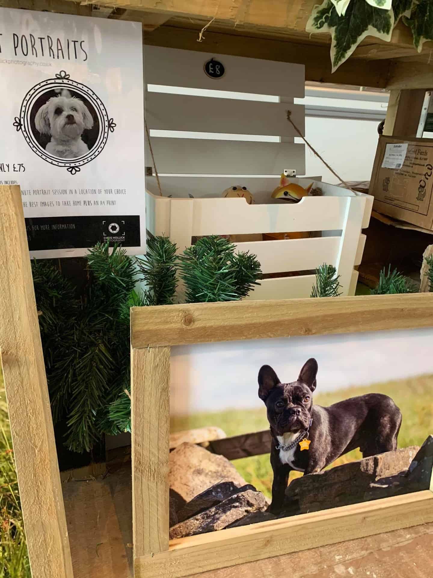 Buy | The Dogs Dinner